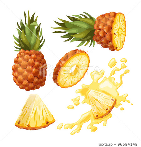 Pineapple Piece Vector