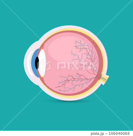 Eyeball Side View Icon